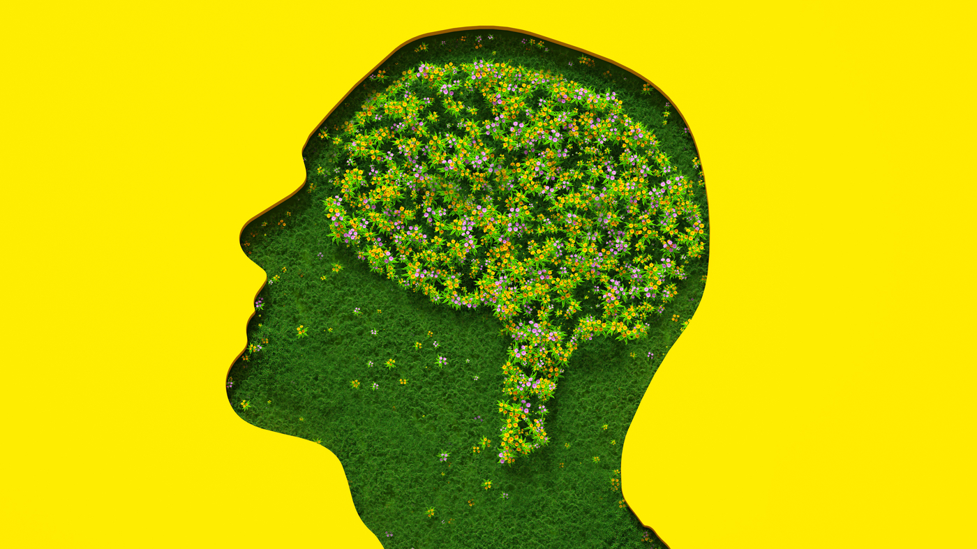 Are we never happy? Humans tend to imagine how things could be better ...