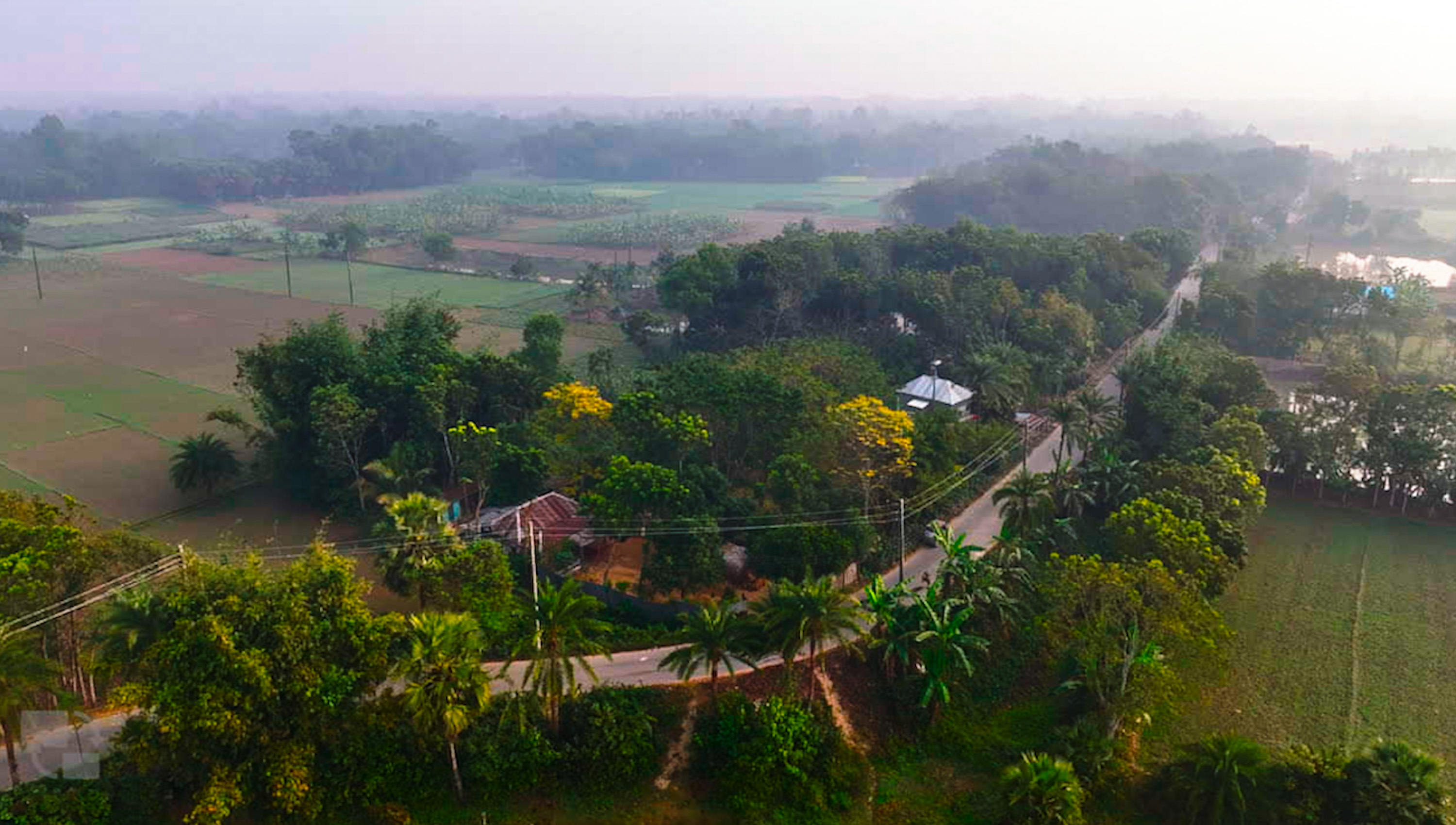 The Nipah virus has a kill rate of 70%. Bats carry it. But how does it ...