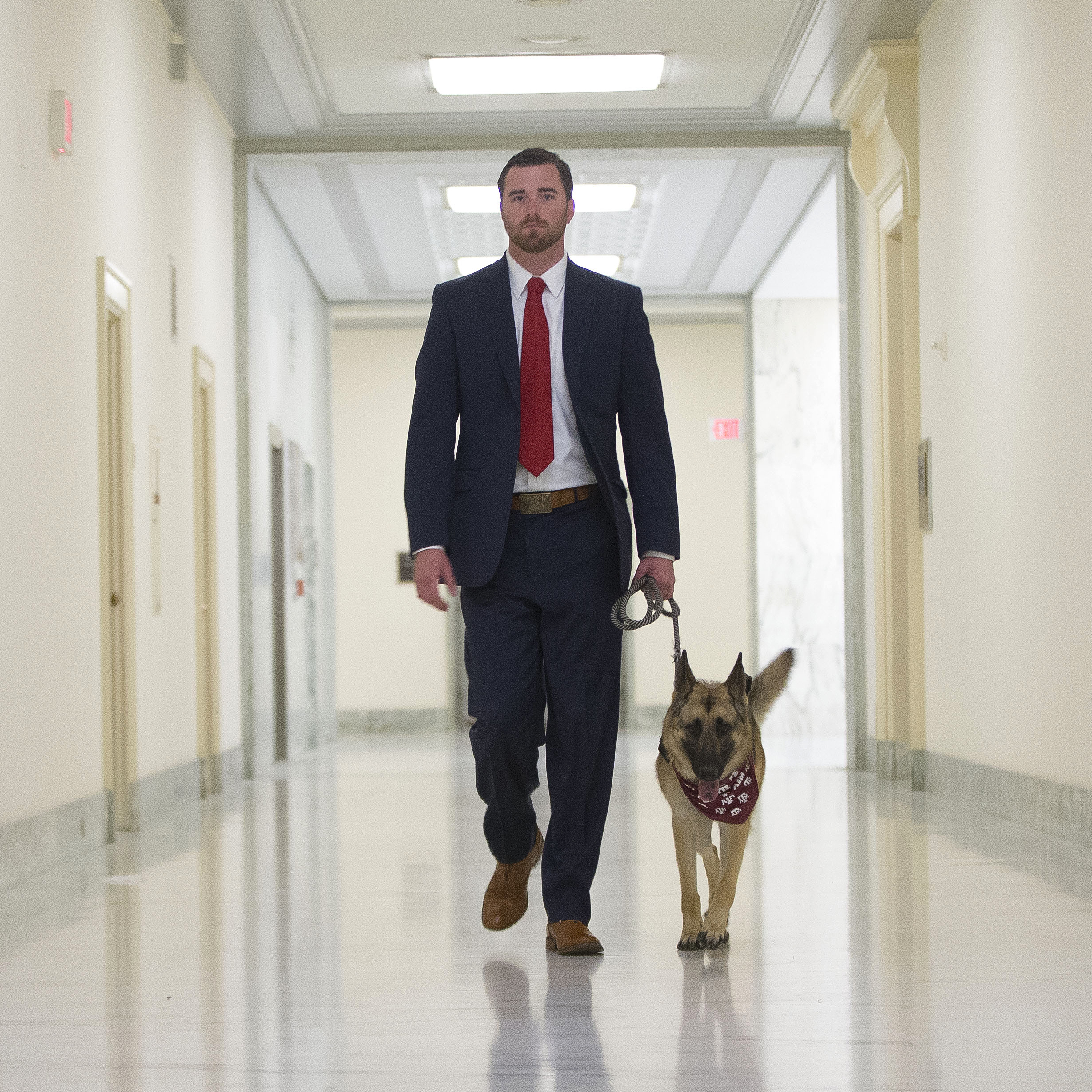 Kaya, a furry ambassador for veterans and service dogs, has died | NCPR ...