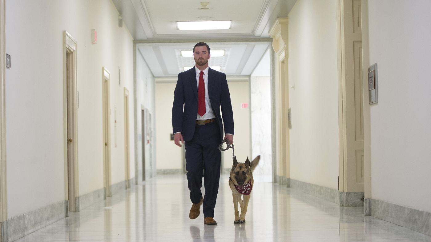 Kaya, a furry ambassador for veterans and service dogs has died : NPR