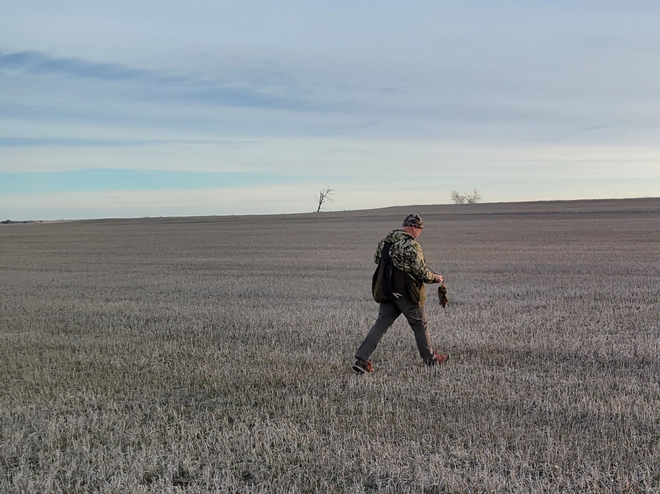 On the Kansas prairie, a master falconer develops a unique bond with ...