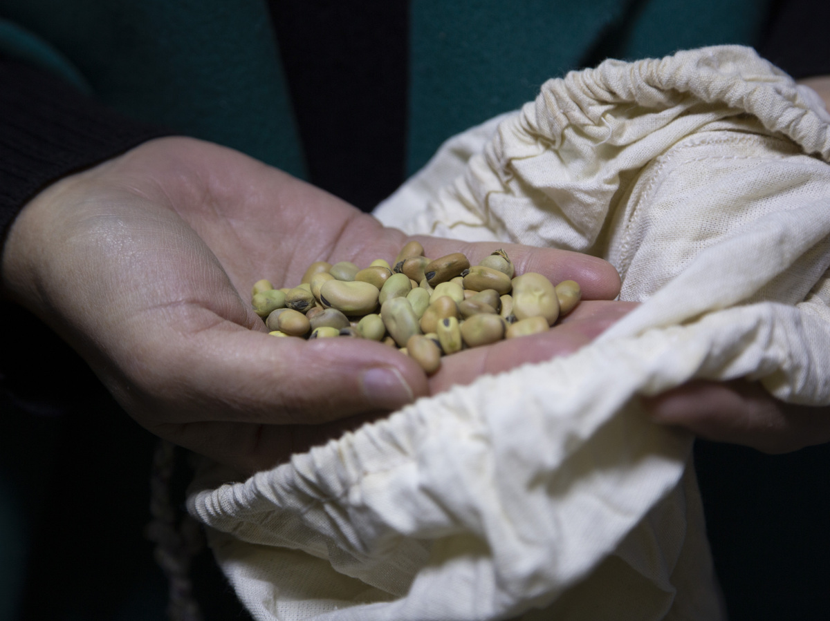 Seed banks may be a climate change secret weapon : Short Wave : NPR