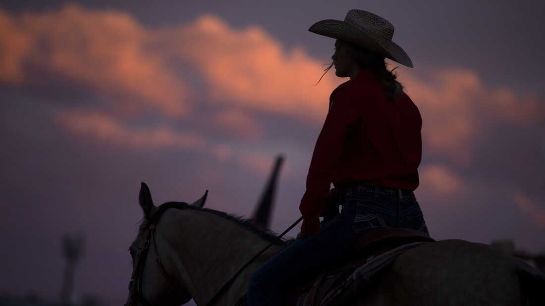 Up First Sunday: Ghost Herd, Cody Easterday, fake cattle and ...