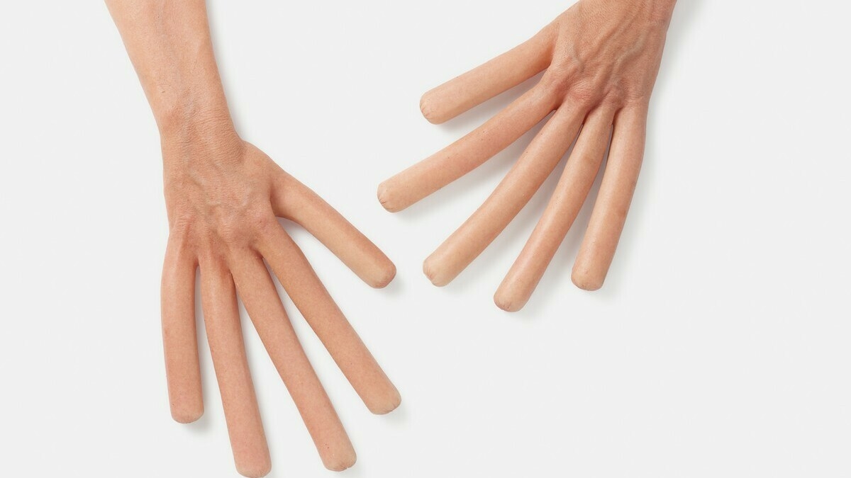 'Everything Everywhere All at Once' props auctioned for charity : NPR