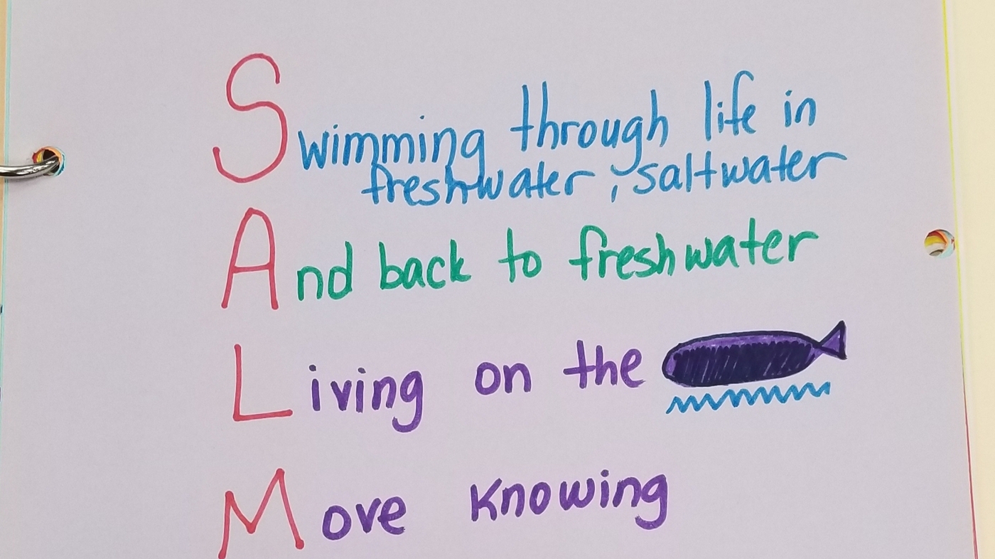 This Alaska elementary school teaches students to raise salmon : NPR
