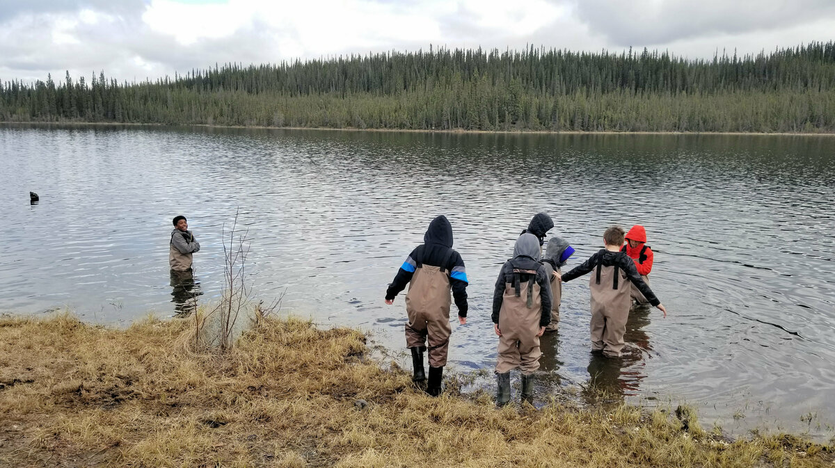 This Alaska elementary school teaches students to raise salmon : NPR