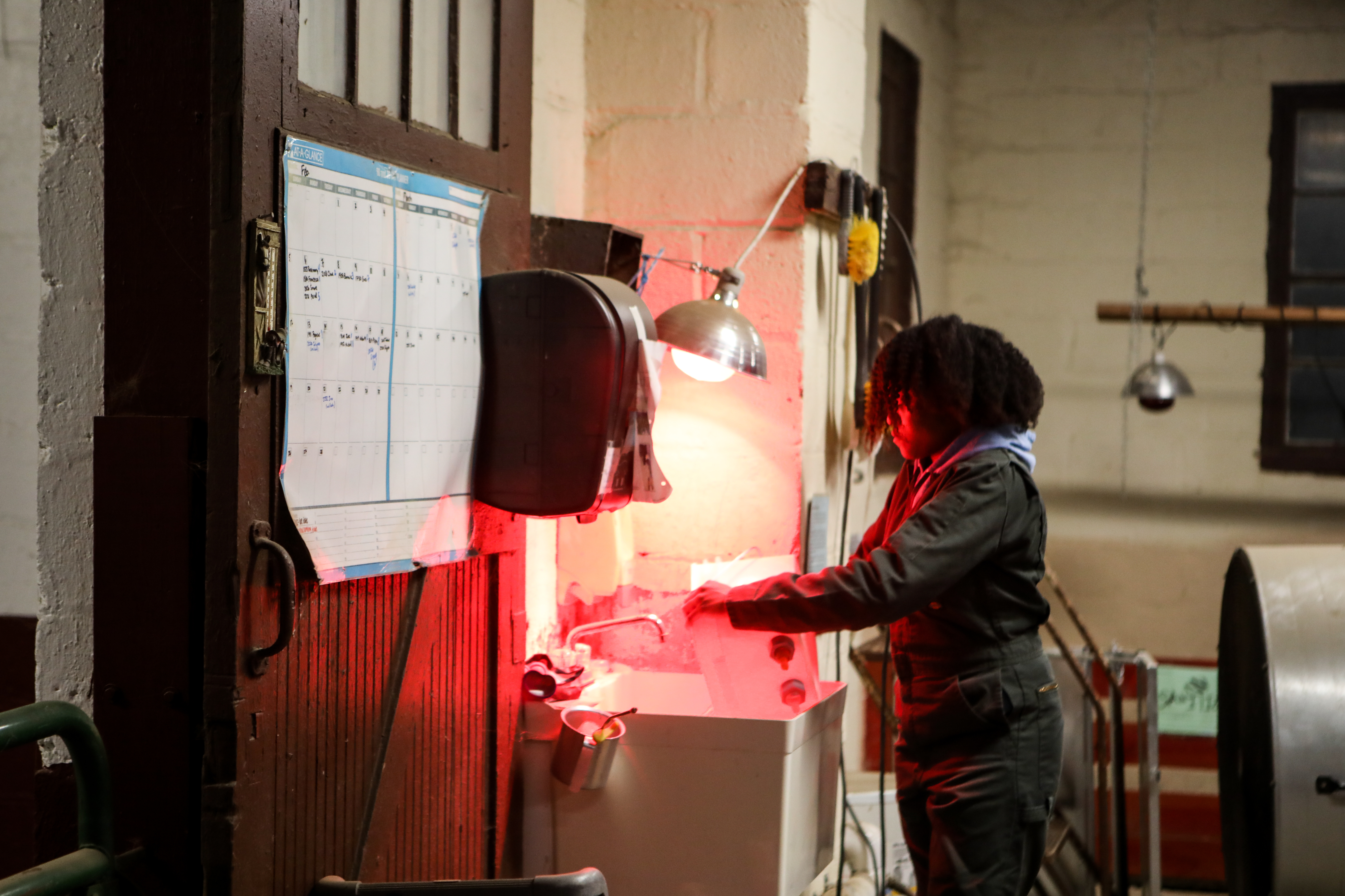 Lambs aren't white and fluffy and other lessons learned at this campus farm | NCPR News