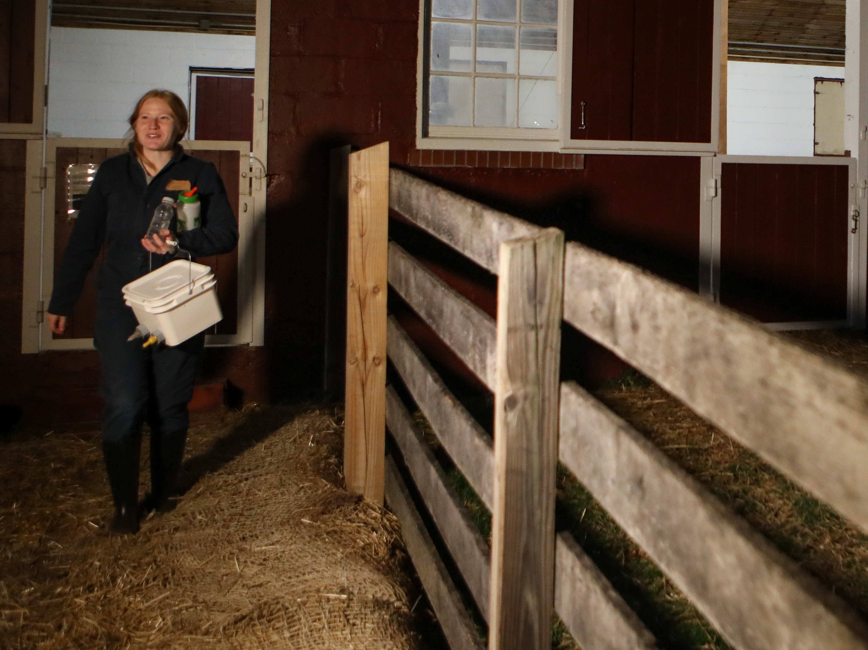Lambs aren't white and fluffy and other lessons learned at this campus farm | NCPR News