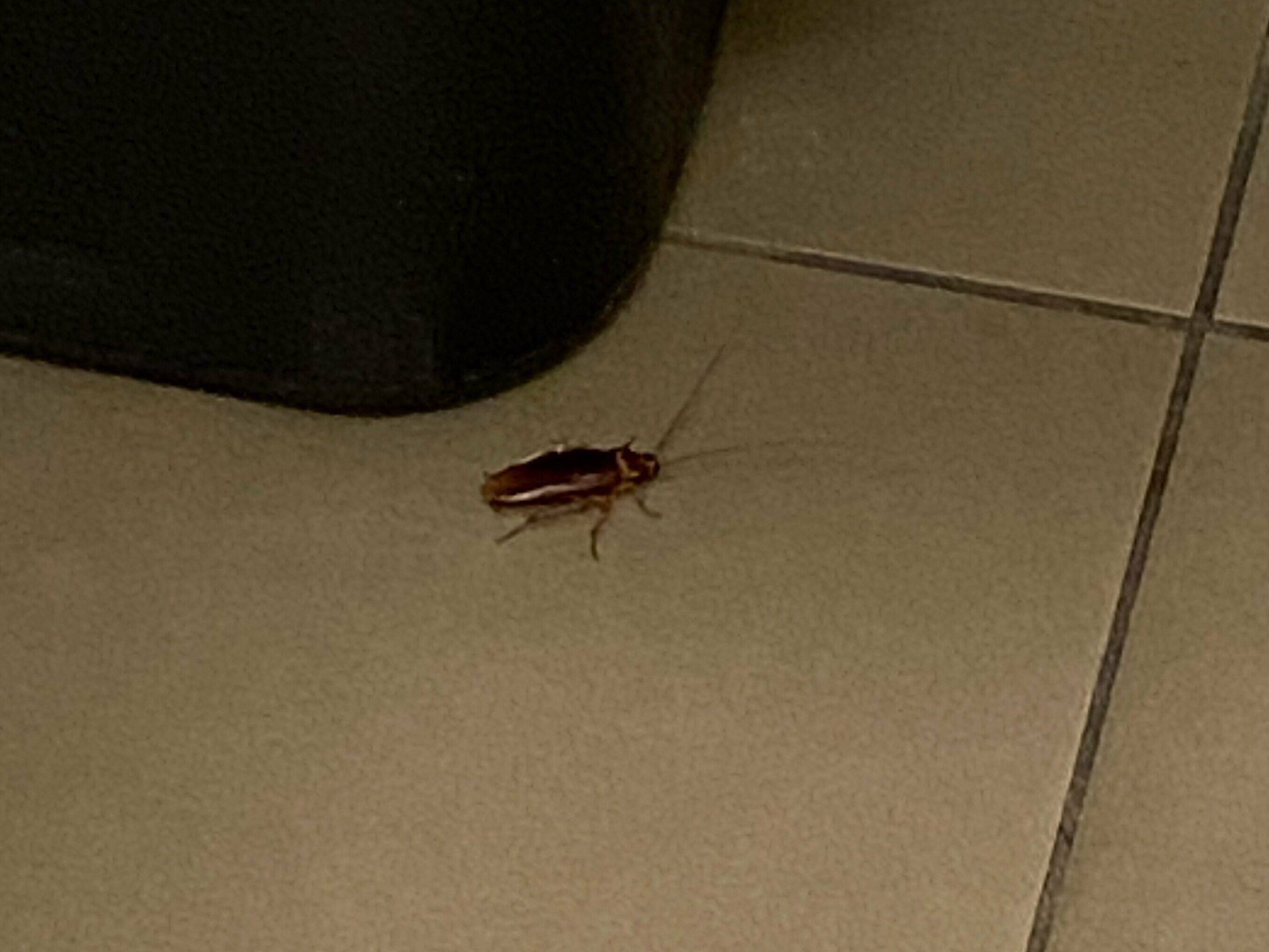 80-hour weeks and roaches near your cot? More medical residents ...