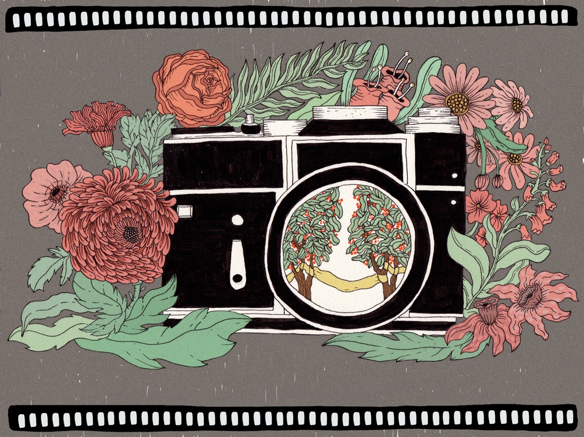 La foto y la herida : Radio Ambulante : NPR