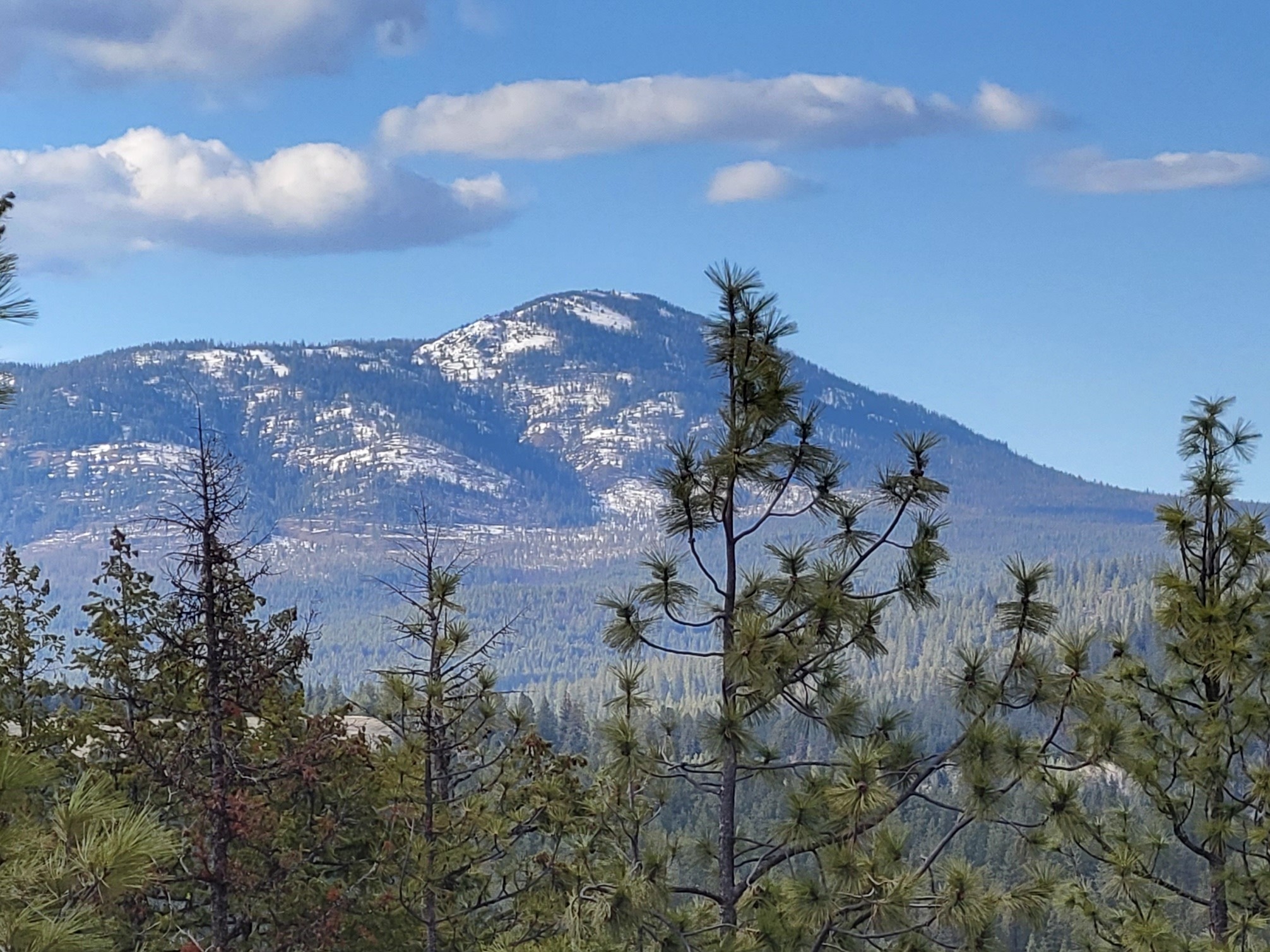 A trek into Spring in the mountains of eastern Washington | NCPR News