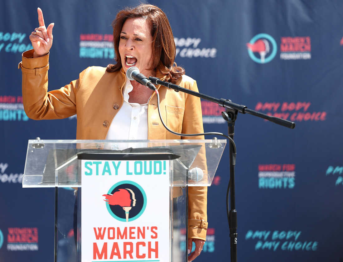 White House Abortion Fight, Debt Ceiling Proposal, Children's Vaccines ...