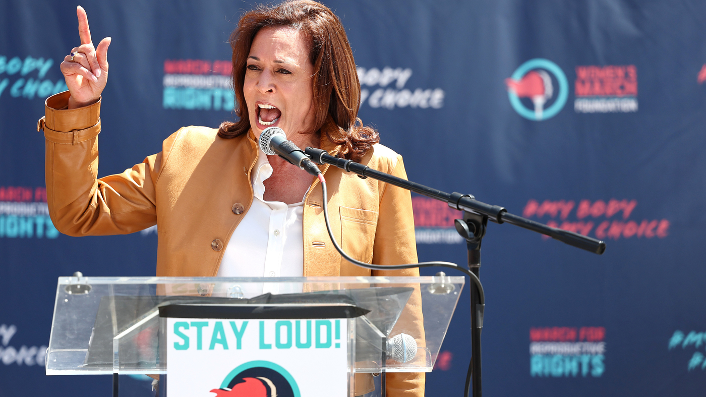 White House Abortion Fight, Debt Ceiling Proposal, Children's Vaccines ...