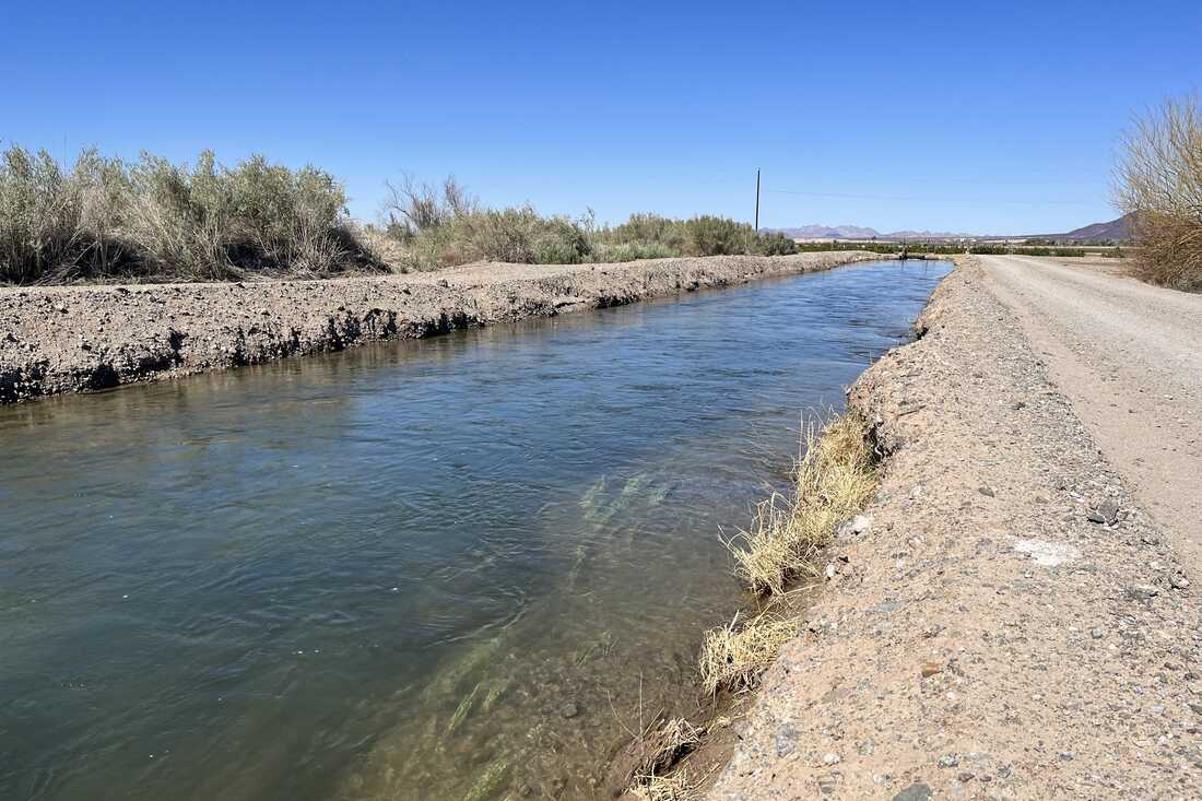 Tribal nations join Colorado River conservation talks for the first ...