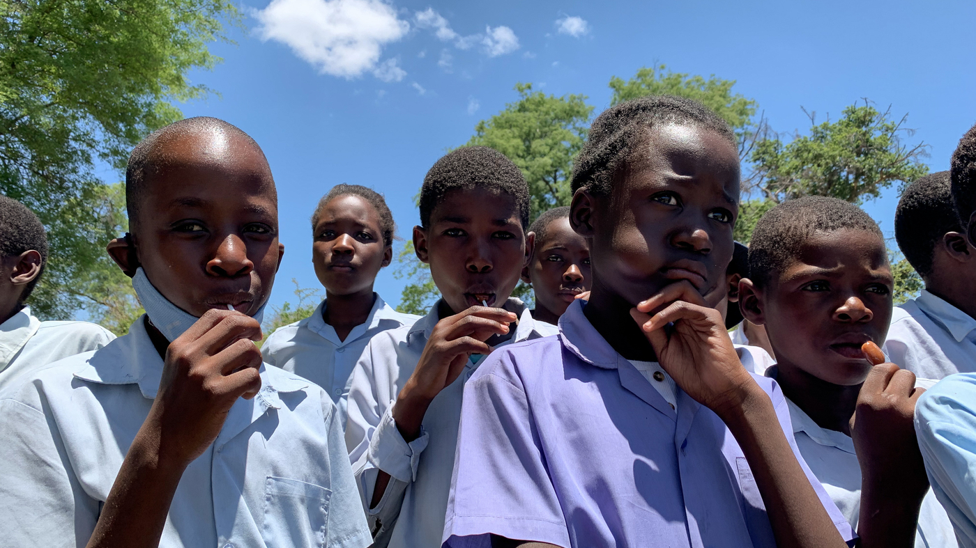 An elephant safari in Botswana for kids tackles human-wildlife conflict ...