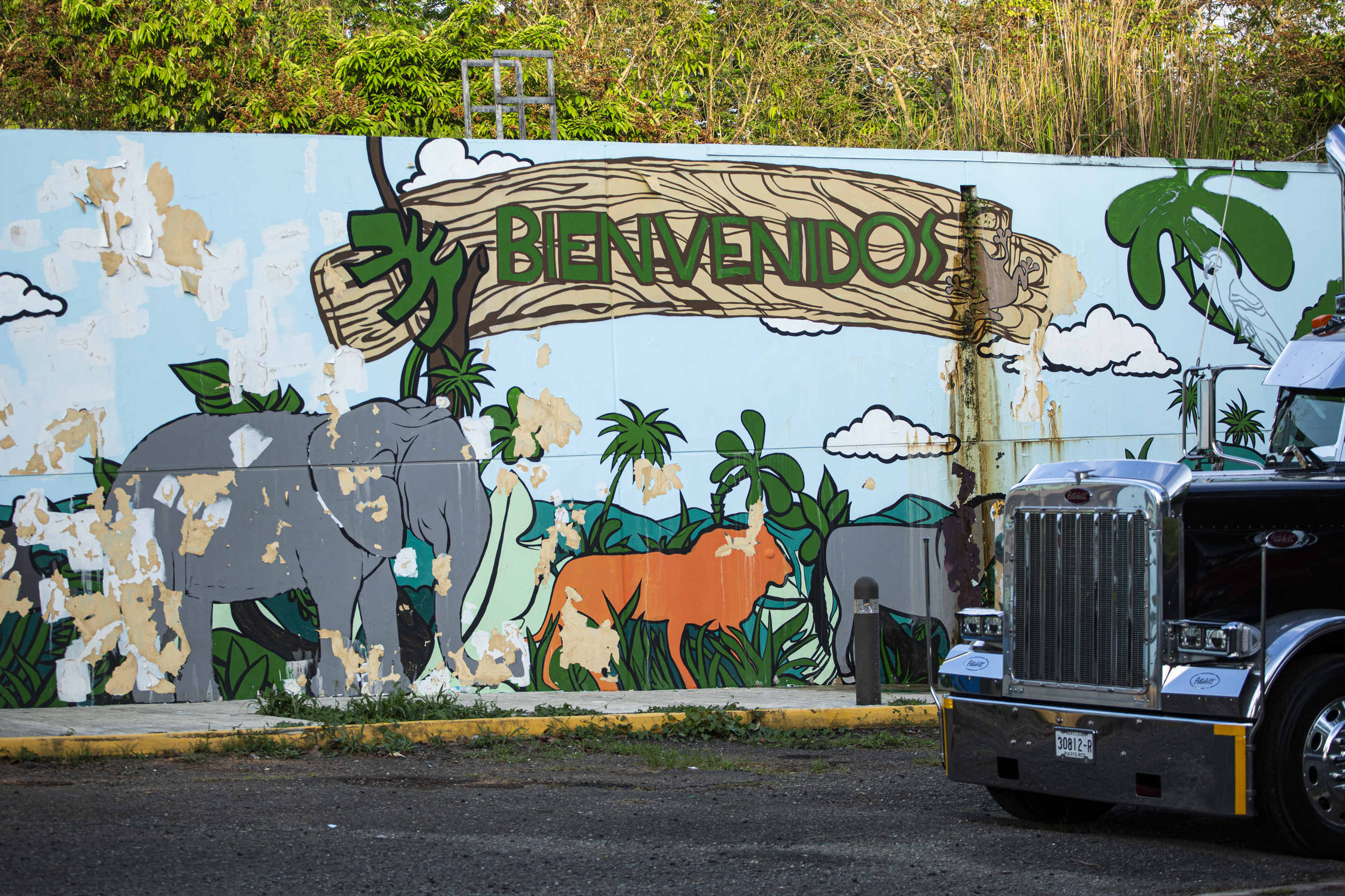 Puerto Rico lost its only elephant — and cracked open a well of ...