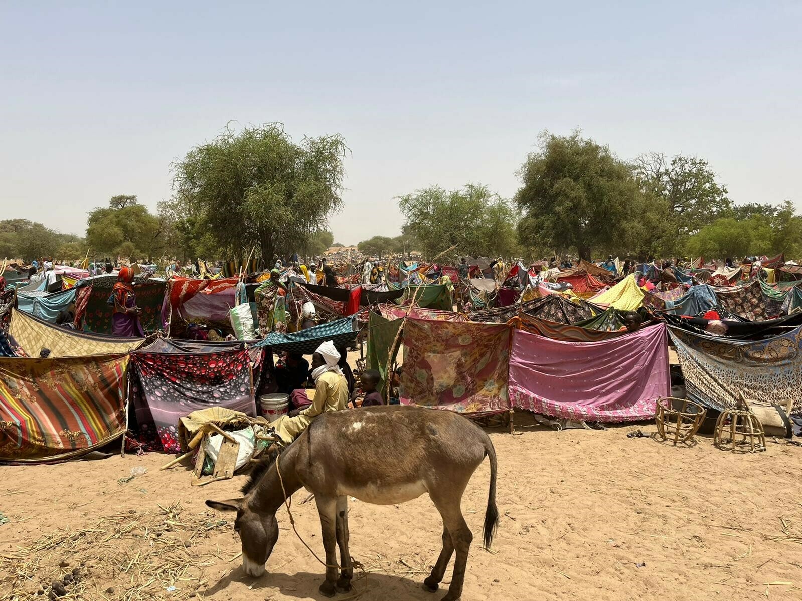 Darfur Genocide Camps