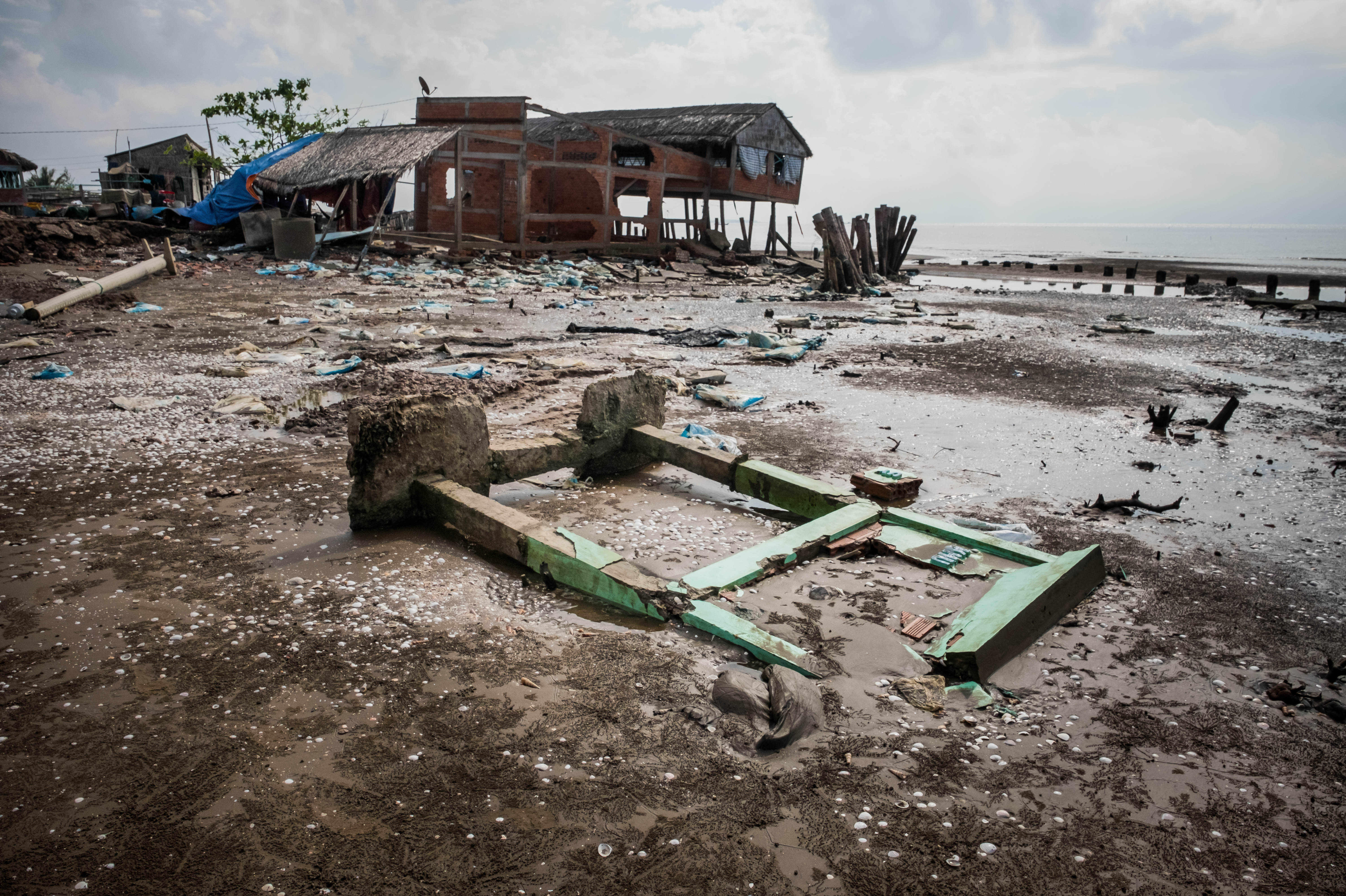 Vietnam faces criticism for arresting climate activist as it closes clean energy deal | WBUR