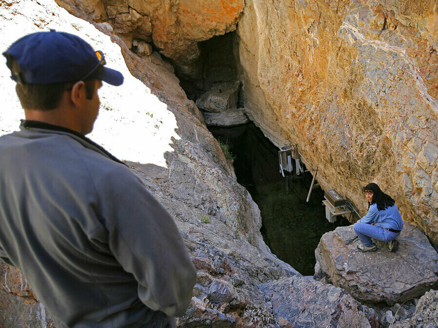 Against all odds, the rare Devils Hole pupfish keeps on swimming | NCPR ...