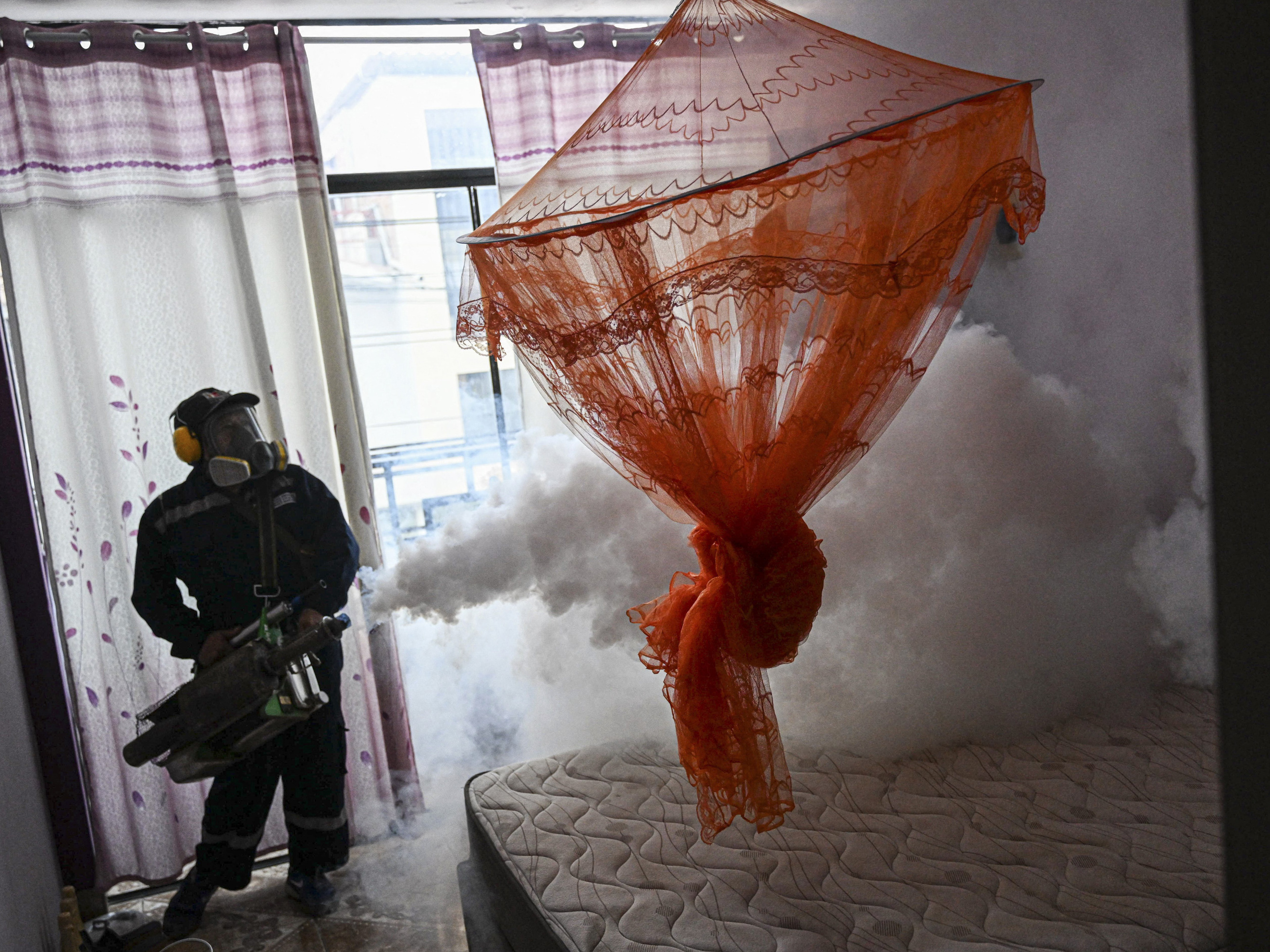 Peru is reeling from record case counts of dengue fever. What's driving ...