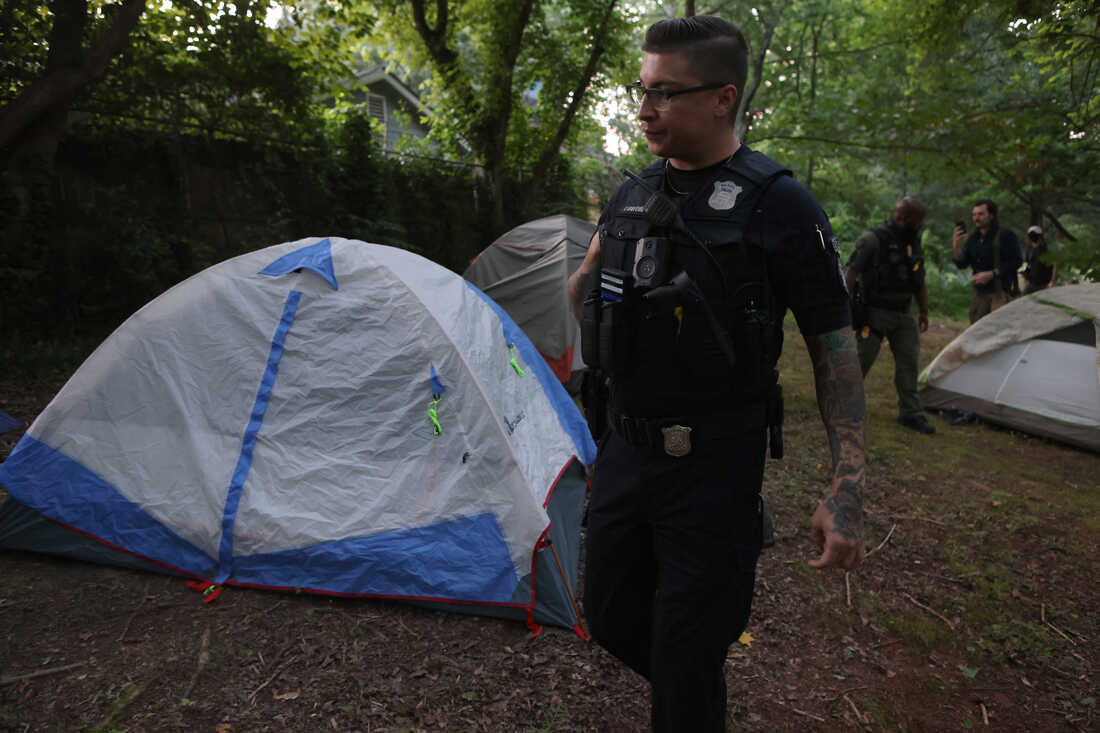 Domestic terrorism charges in Georgia prompt concern over political ...