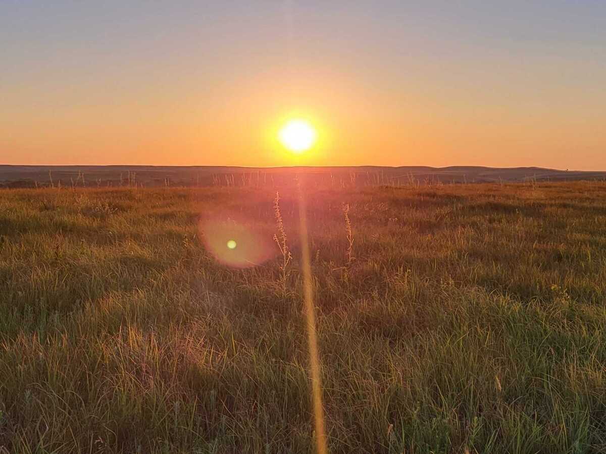 Come along on a trail run in the Kansas tallgrass prairie : NPR