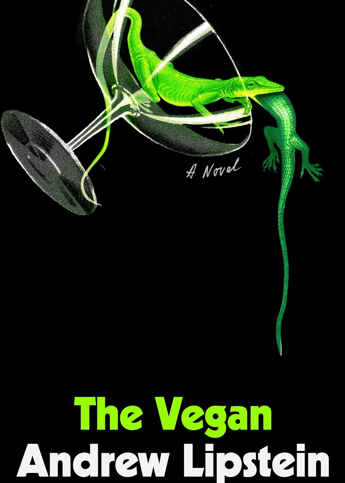 Andrew Lipstein invents a refreshing hedge-fund protagonist The Vegan ...