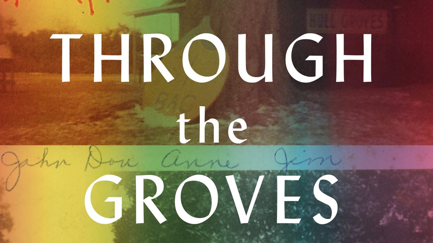 'Through the Groves' review: Anne Hull's memoir recalls a pre-Disney ...