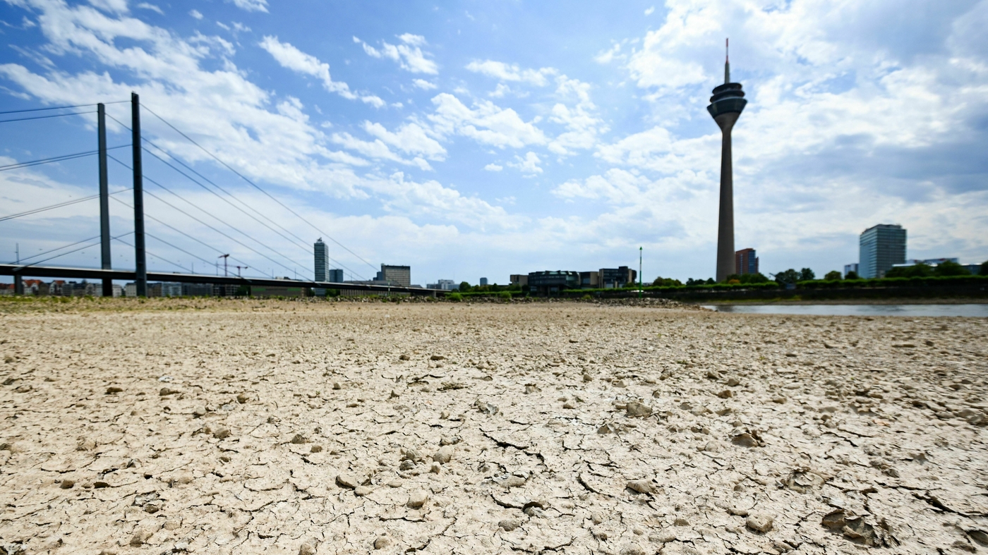 Study links Europe's summer 2022 heat waves to 61,600 deaths : NPR