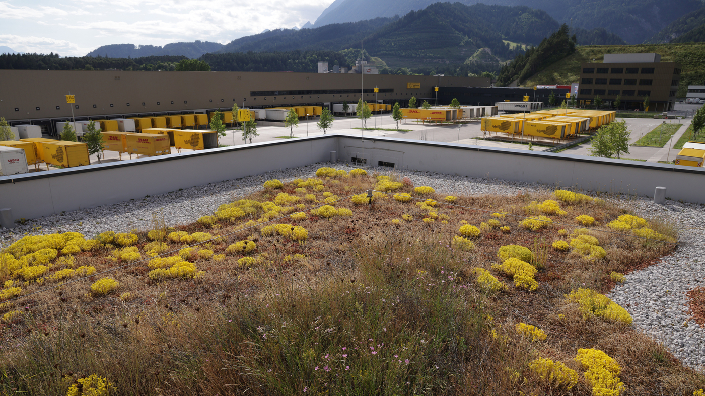 Study links Europe's summer 2022 heat waves to 61,600 deaths : NPR