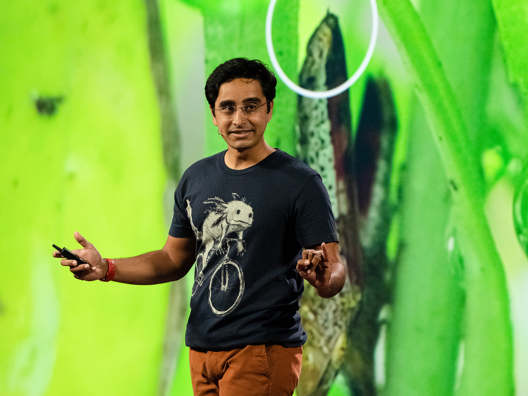 How do insects pee? A seemingly silly question that led to a physics ...