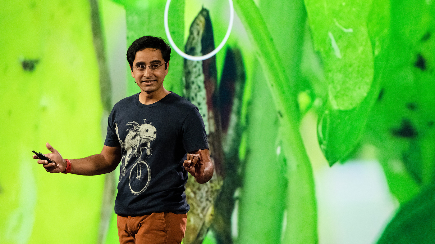 Saad Bhamla: One insect's pee appears to defy physics : NPR