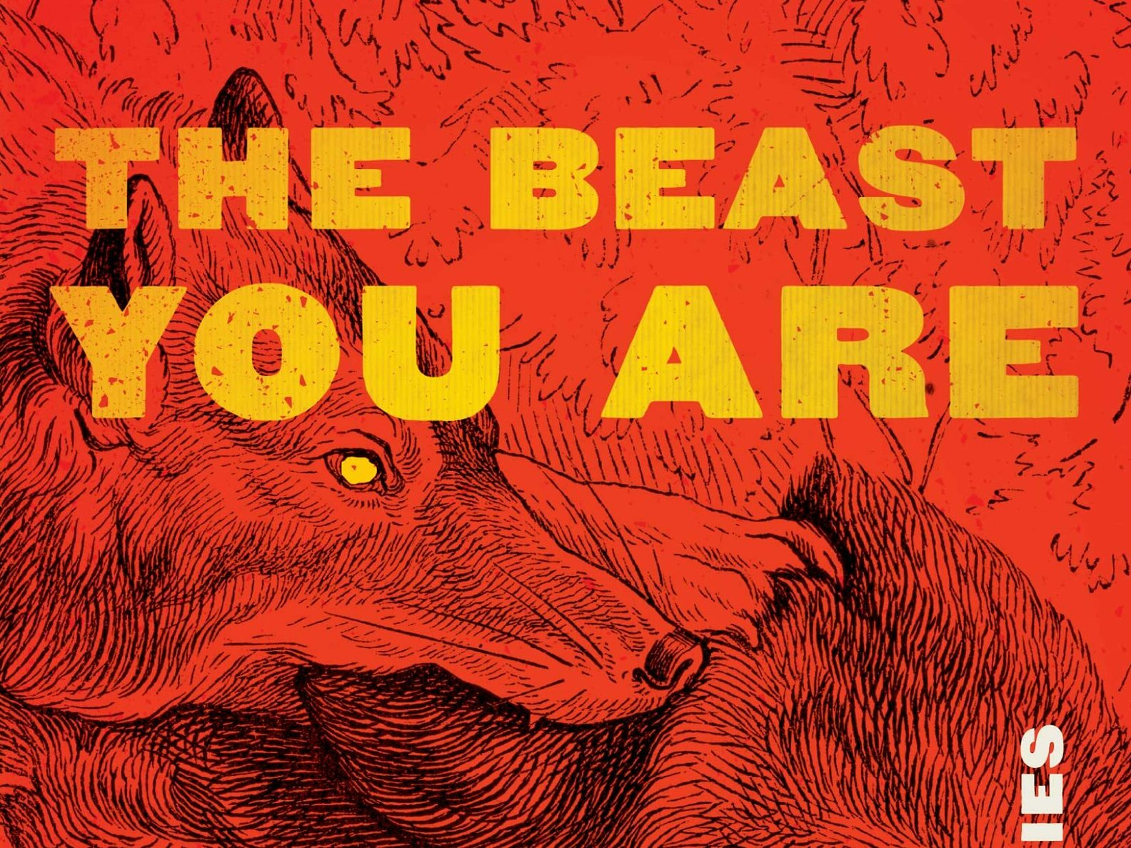 'The Beast You Are' is smart, self-aware, fun, creepy, and strange ...