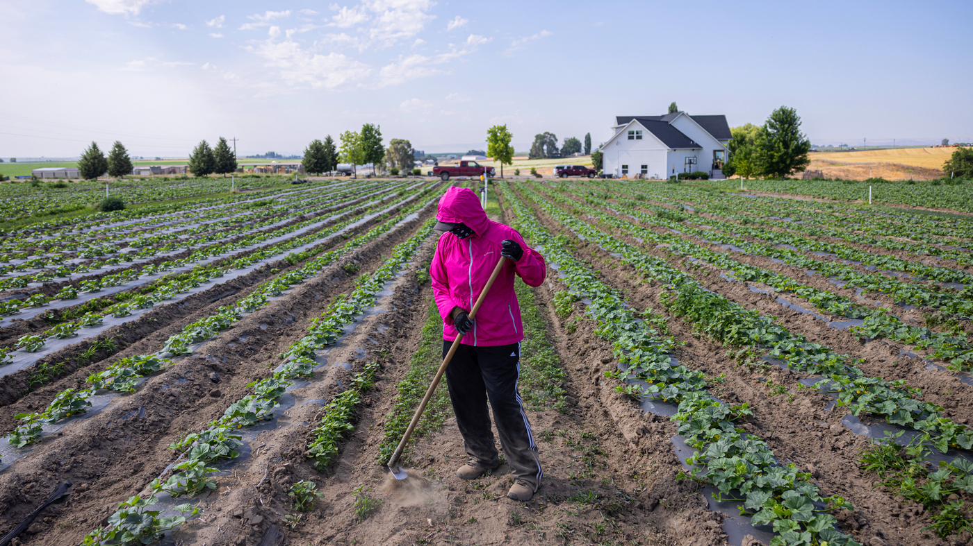 A new overtime law was supposed to help farmworkers. Why some now want ...