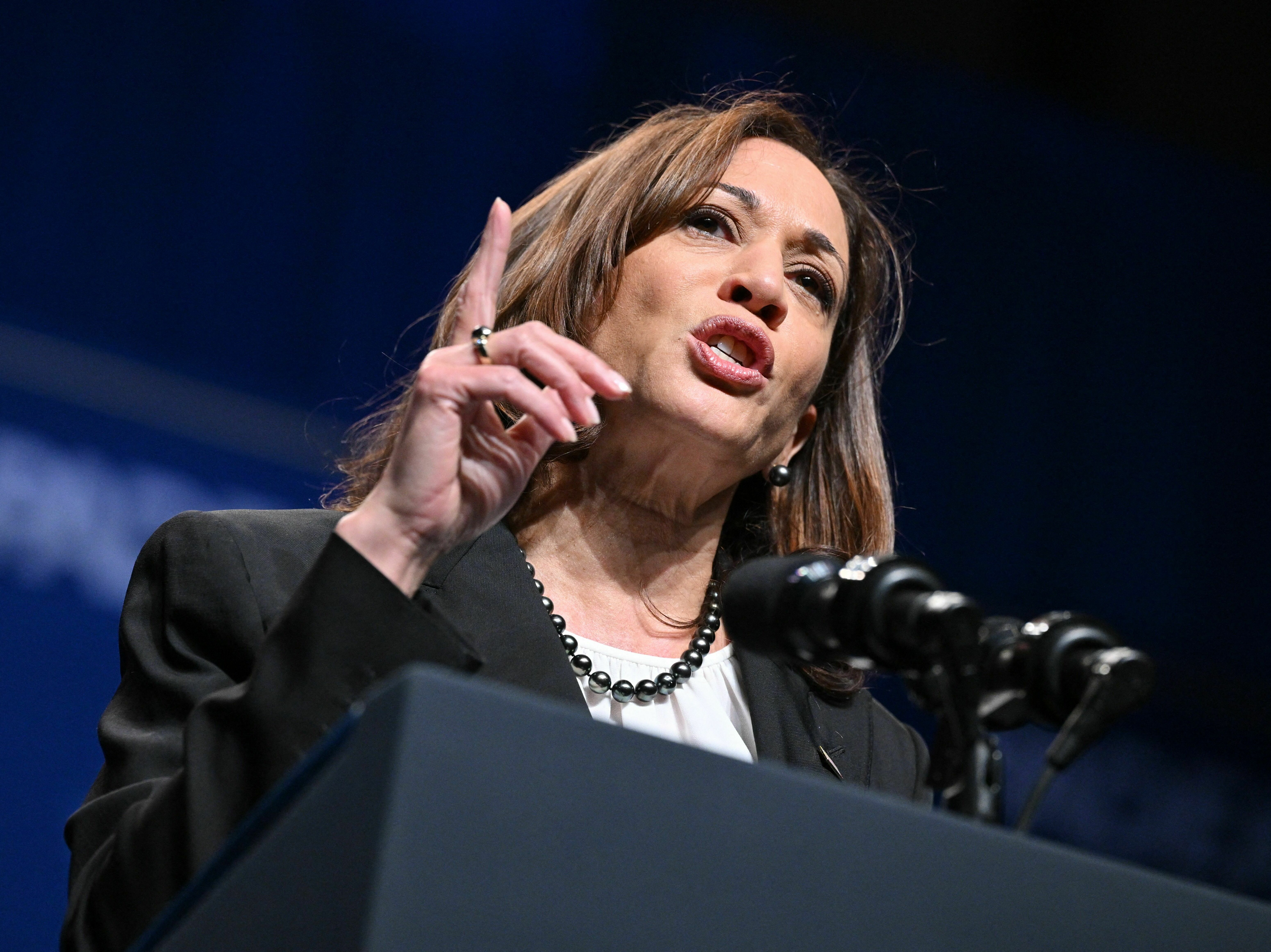 VP Harris says Florida's new Black history curriculum replaces 'history ...