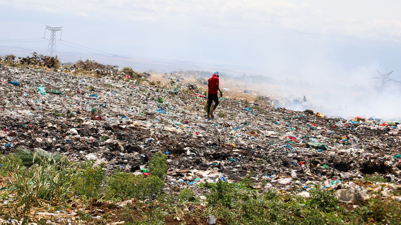 The world's strictest plastic bag ban isn't keeping them out of dumps ...