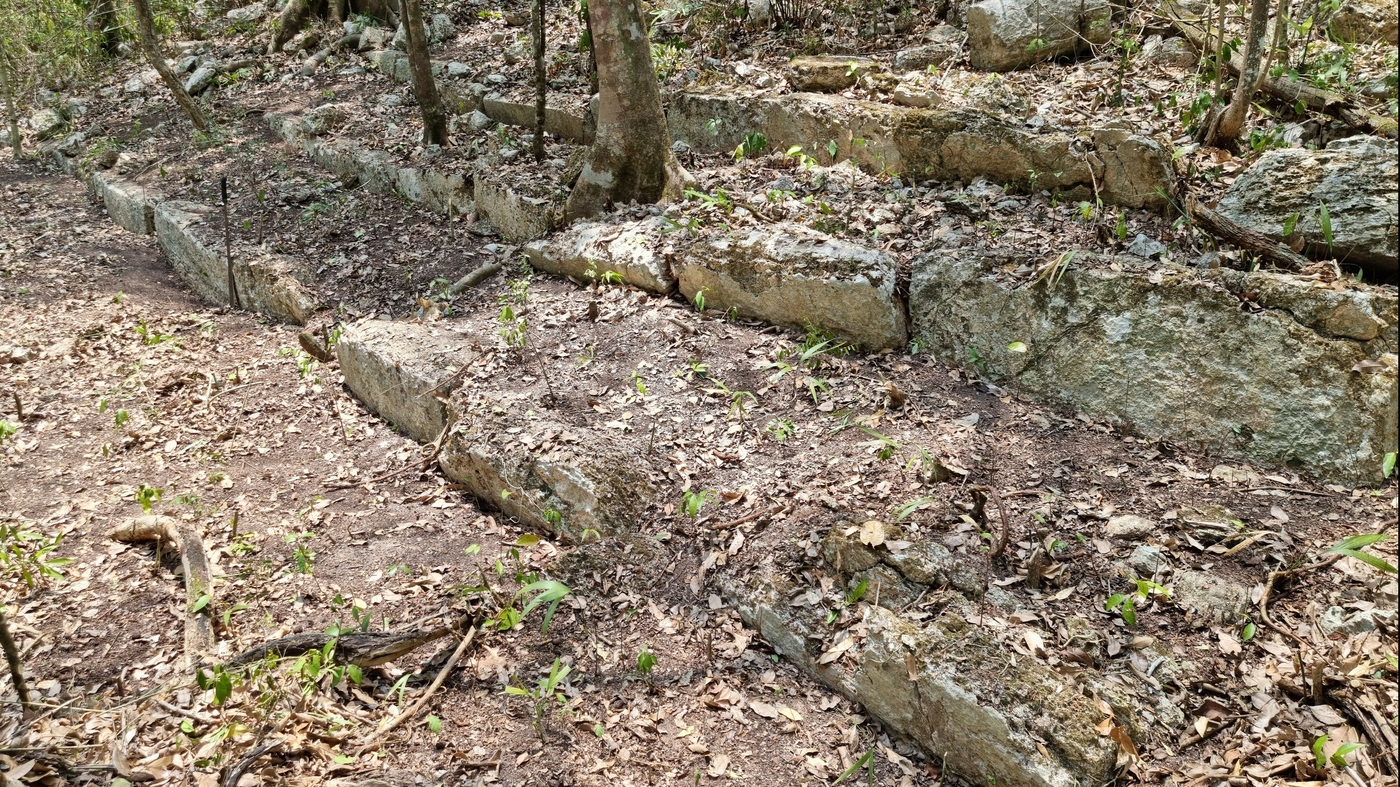 How scientists used lasers to find the Maya city of Ocomtun in Mexico : NPR