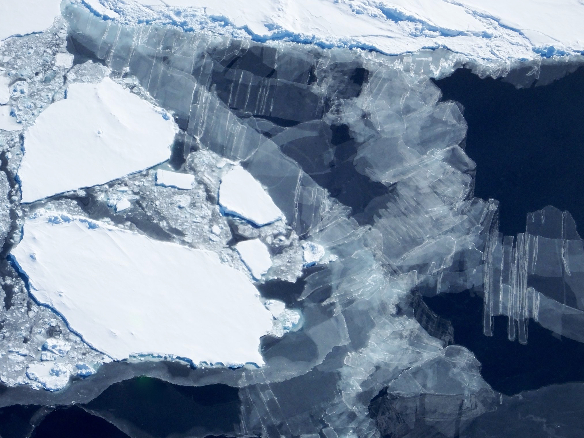 Antarctica has a lot less sea ice than usual. That's bad news for all ...