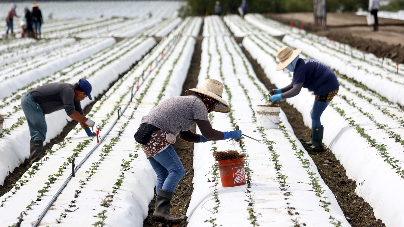 A few big trends shaping America's agricultural workforce today : The ...