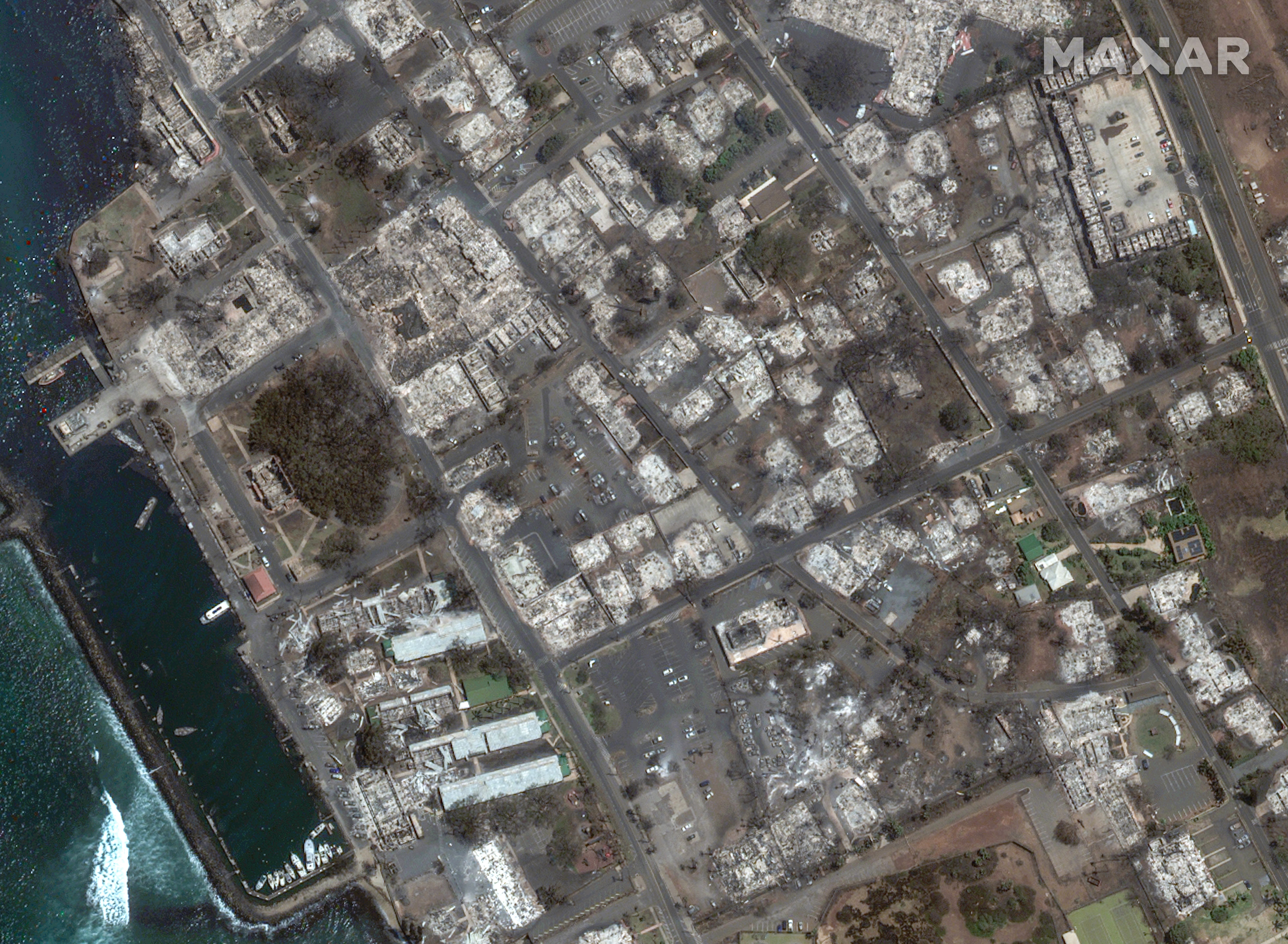 Satellite images show utter devastation from wildfires in Maui | WBUR