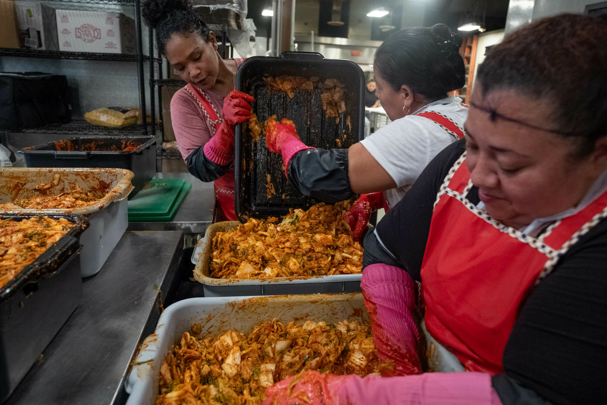 How hardworking microbes ferment cabbage into kimchi | News | WLIW-FM
