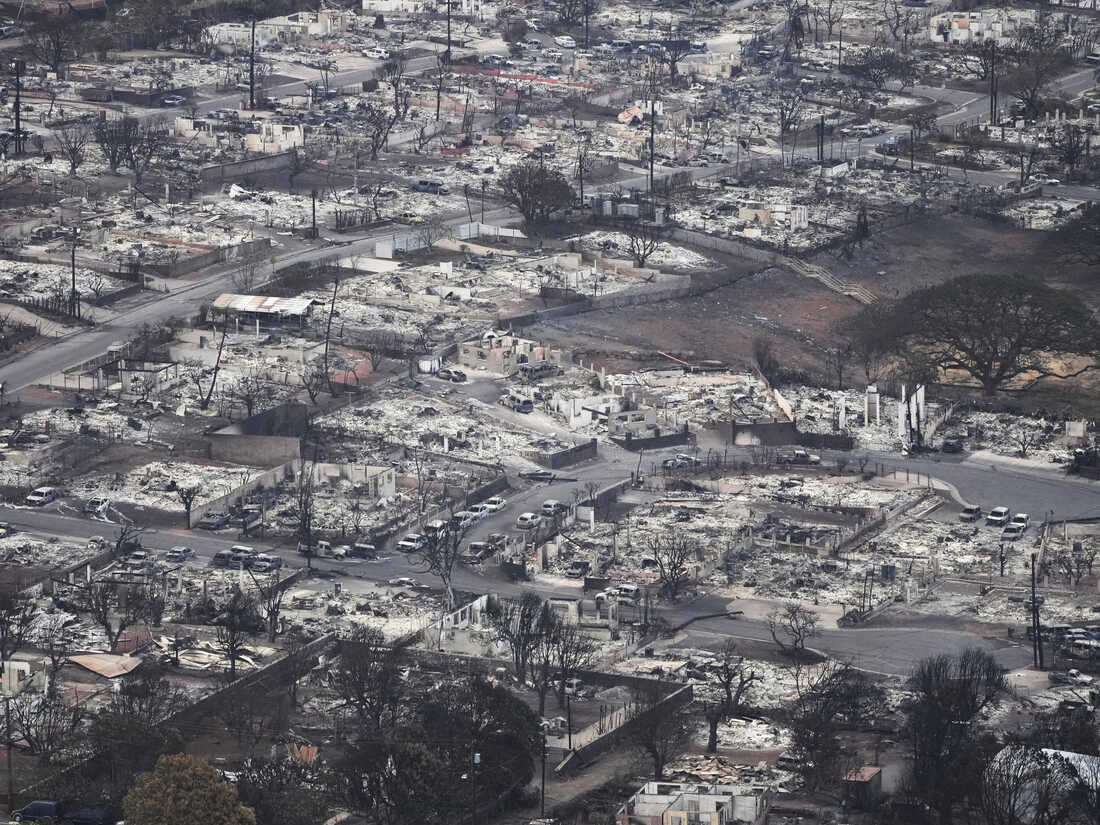 Cell phone photos and some metadata. A son's search for his mother in ...