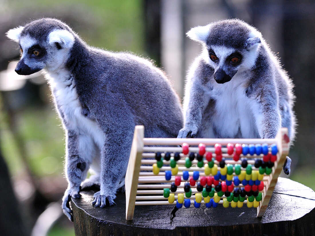 Eugenia Cheng's new book shows how math can help us ask existential ...