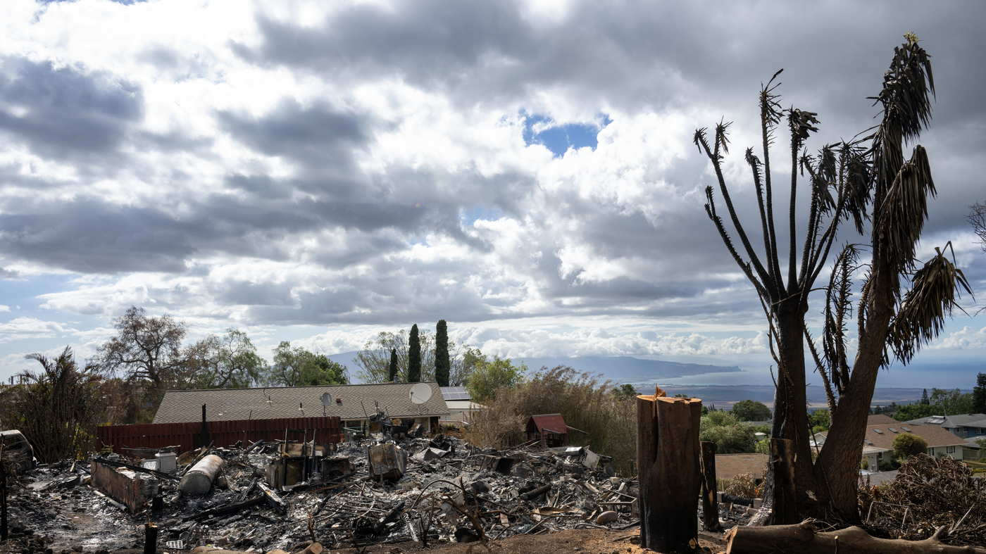 The Kula Upcountry Fire is burning 25 miles from Lahaina on Maui : The ...