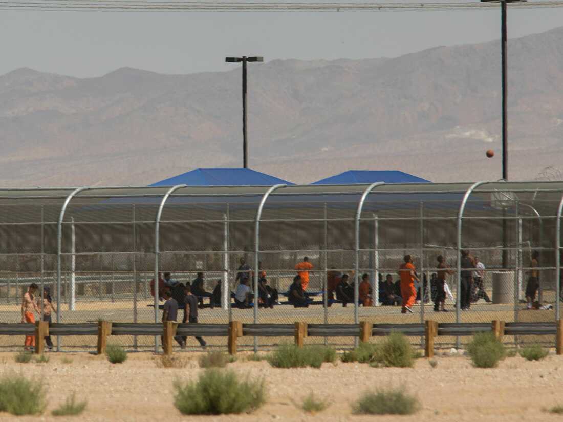 NPR Investigation Reveals 'Barbaric' Conditions in ICE Detention ...