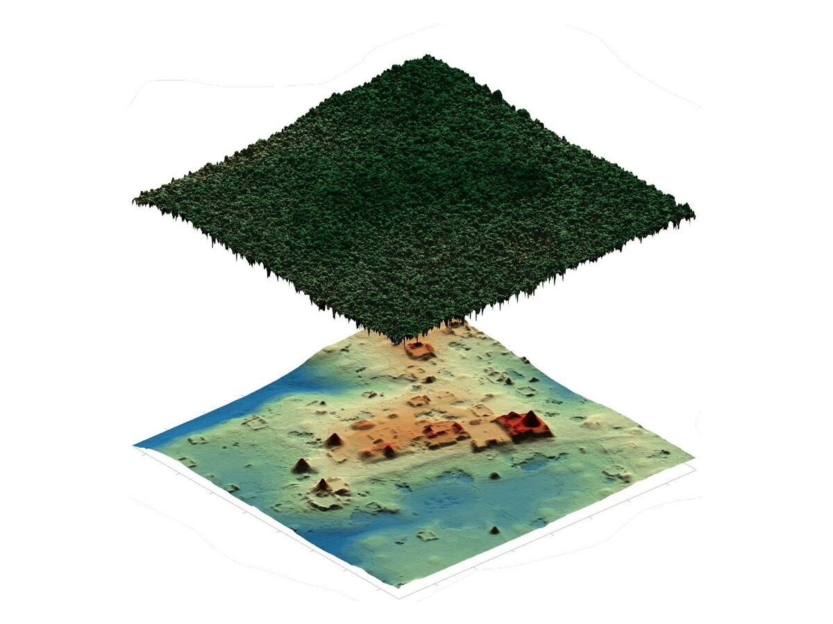 Ocomtun, an ancient Maya city was uncovered using LiDAR : Short Wave : NPR