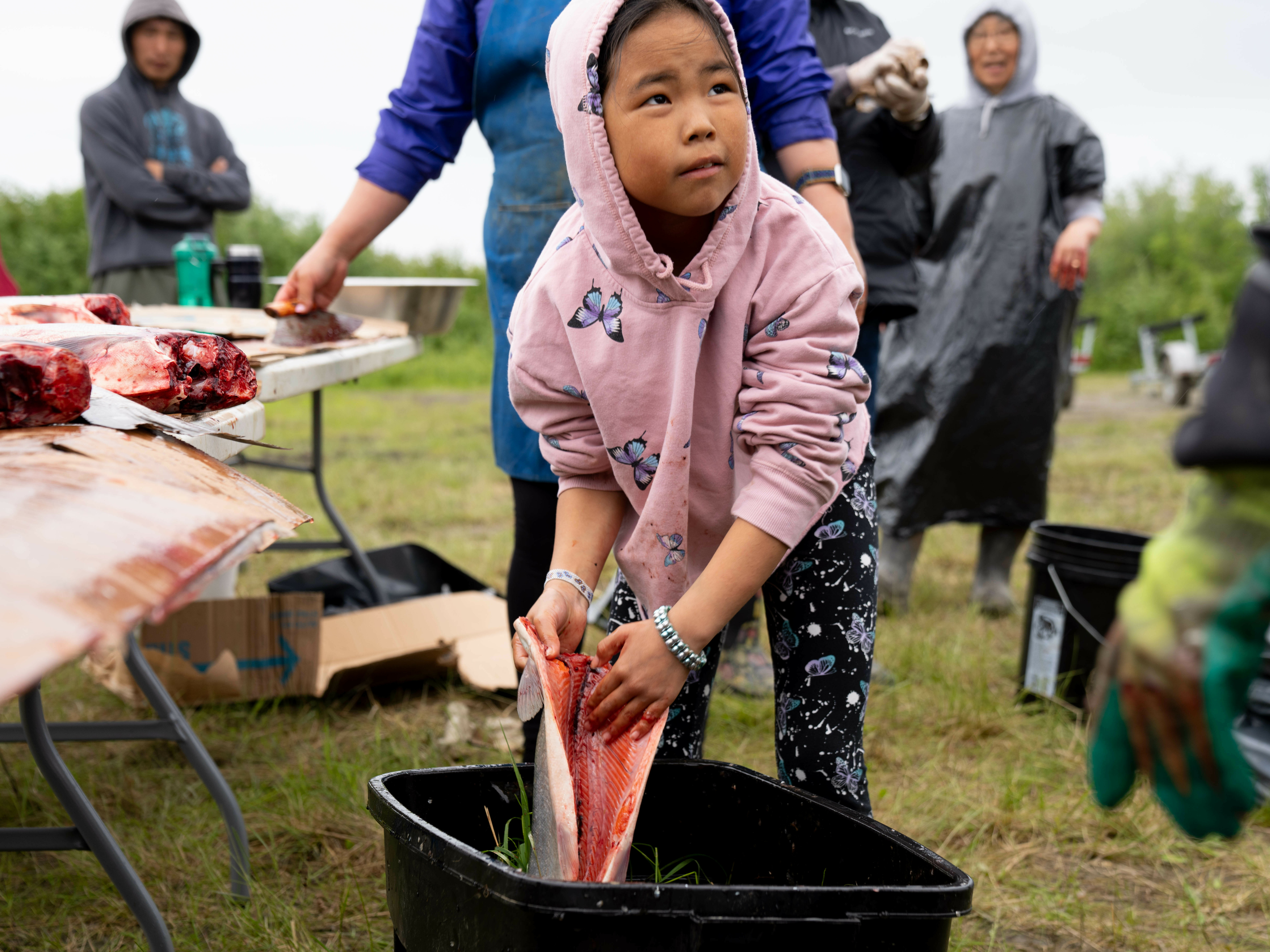 An Alaska district aligns its school year with traditional subsistence ...