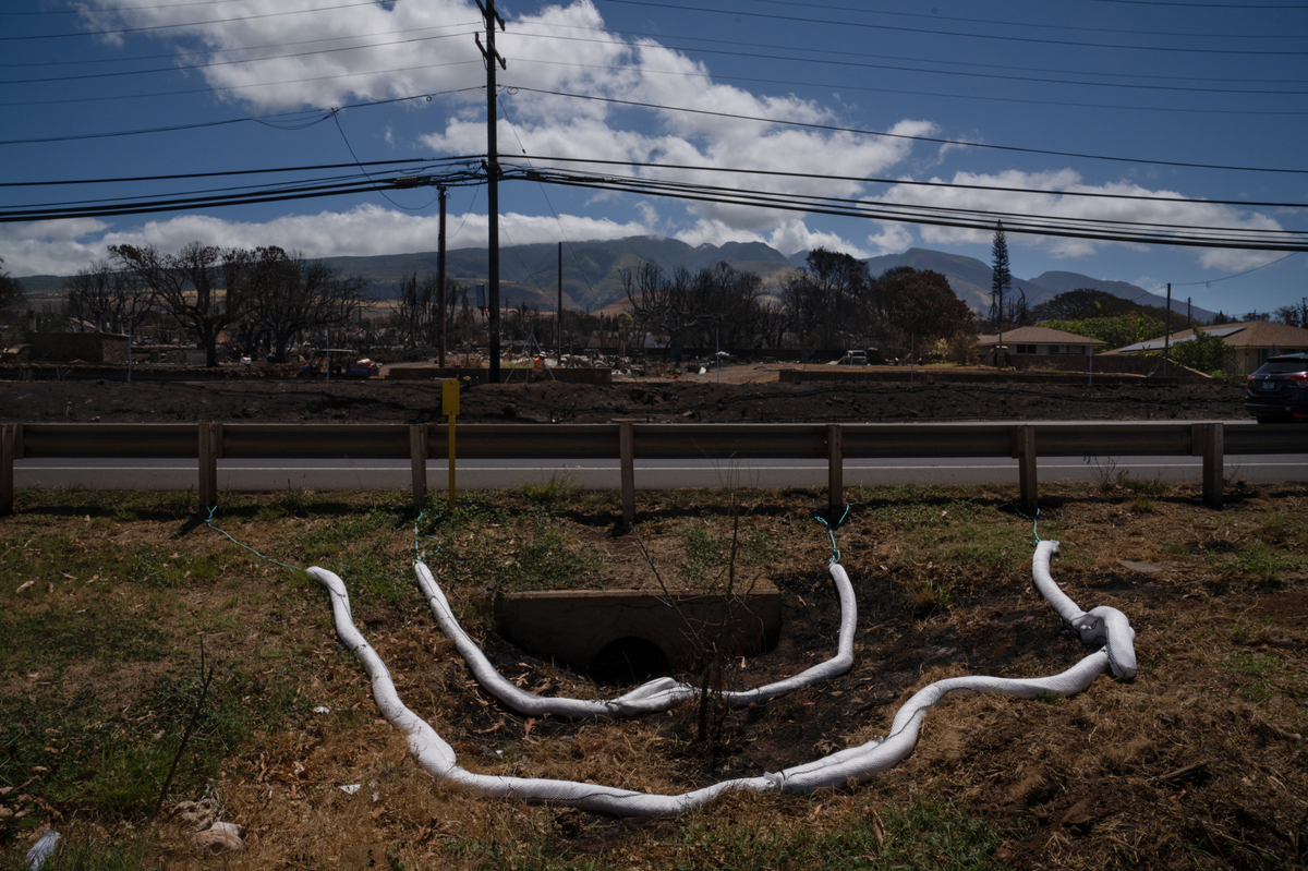 Maui officials work to stop toxic runoff from reaching the ocean after ...