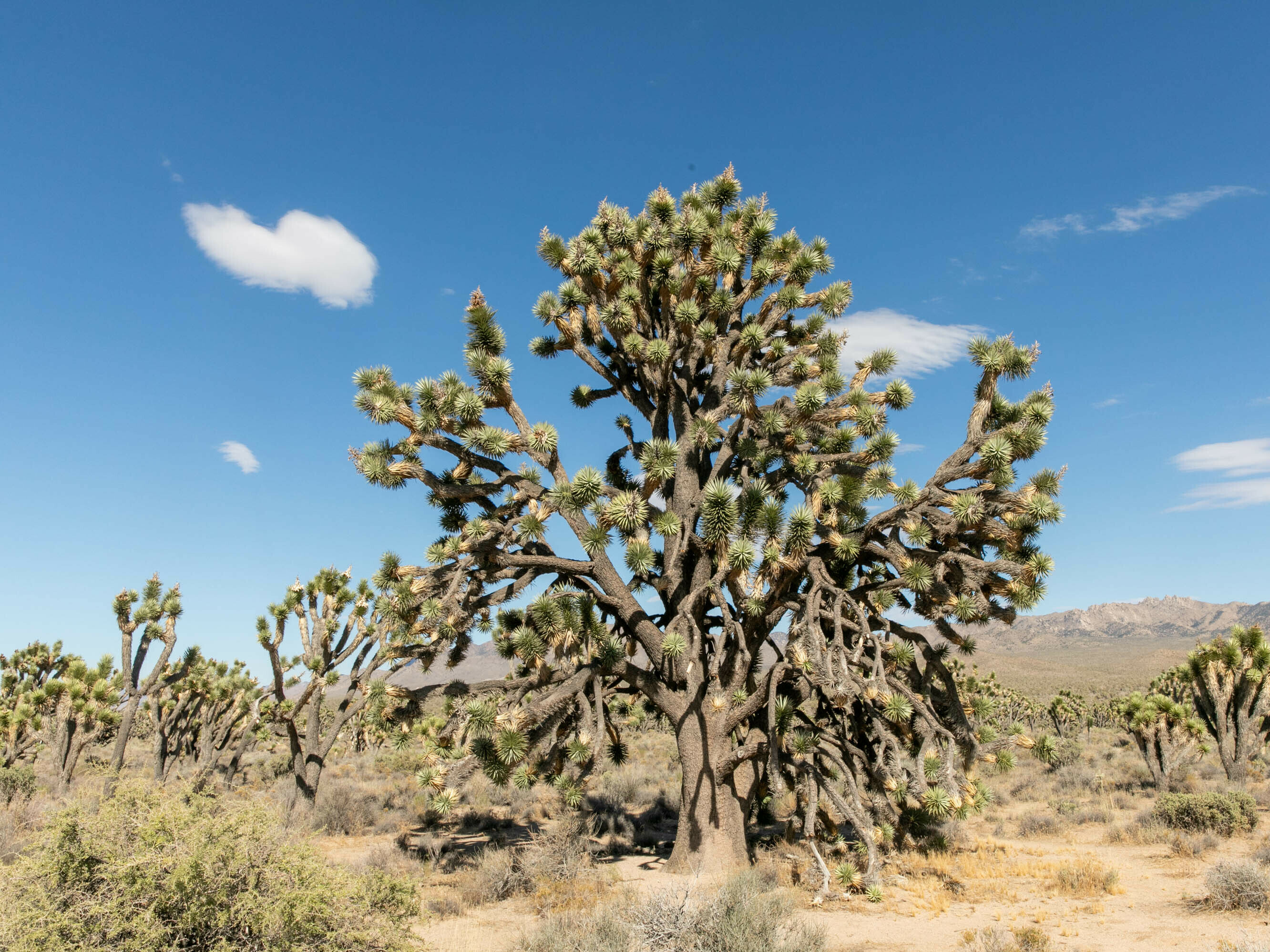 In a charred moonscape, a band of hopeful workers try to save the ...