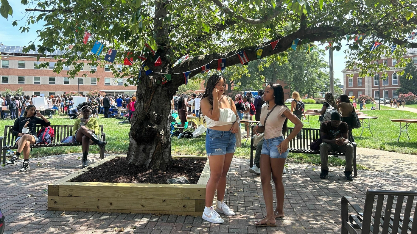 Do students feel unsafe on campus? : NPR
